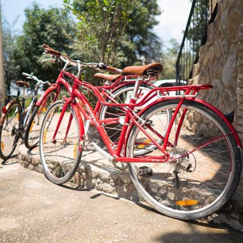 LA BIROTA - Val'Quirico